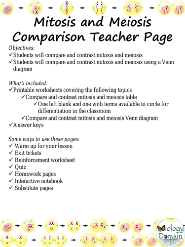 Mitosis and Meiosis Comparison Worksheets | Teaching Resources