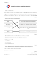 GCSE Biology - Cell differentiation and Specialisation (9-1) | Teaching ...
