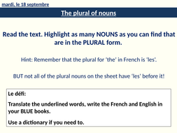 French lesson Plural of nouns | Teaching Resources