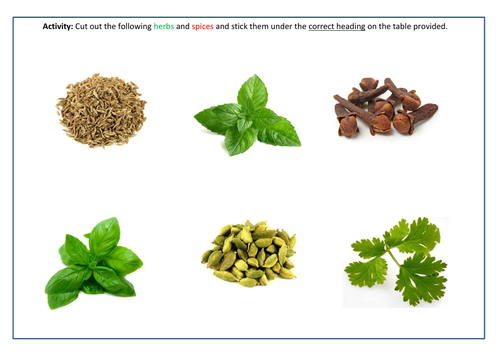 Indian Herbs and Spices - Practical Activity | Teaching Resources
