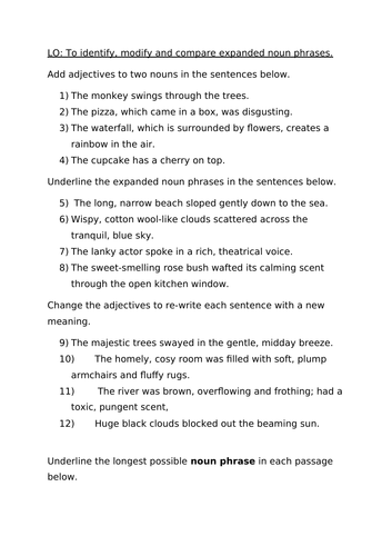 Nouns and Expanded Noun Phrases | Teaching Resources