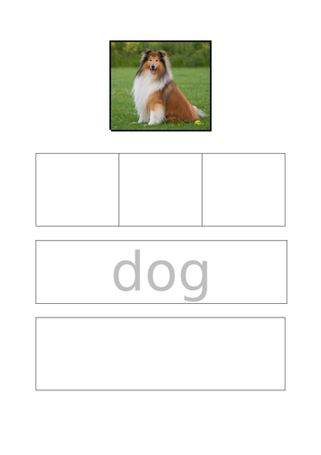 CVC sort-trace-write activity joined writing. (SEN/TEACCH) | Teaching ...