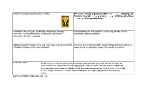 Year 5/6 full lessons plans for English - Skellig | Teaching Resources