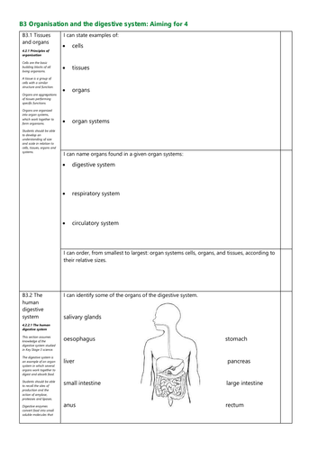 AQA Biology B3 Organisation and the digestive system Checklists for ...