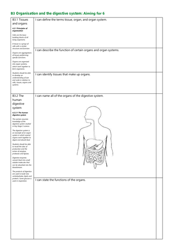 AQA Biology B3 Organisation and the digestive system Checklists for ...