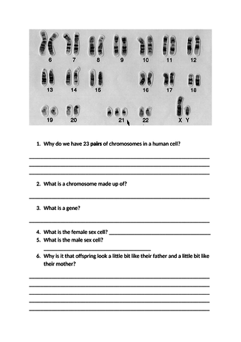 KS3 Unit 8B Biology - Classification - WORKSHEETS ONLY (reproduction ...