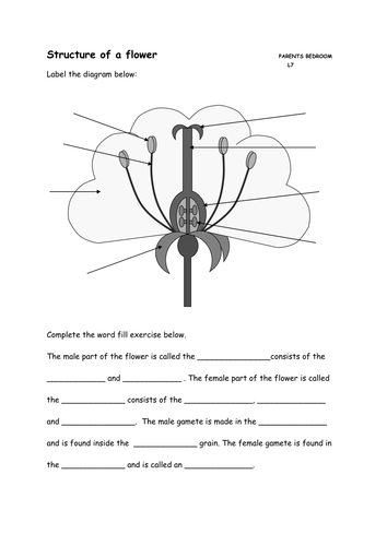 KS3 Unit 8B Biology - Classification - WORKSHEETS ONLY (reproduction ...