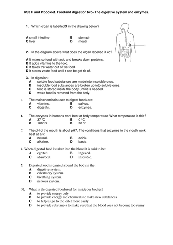 KS3 Unit 8A Biology Diet and digestion WORKSHEETS ONLY (Nutrients ...