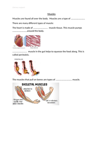 Movement - muscles AQA Activate KS3 Year 7 whole lesson 8.1.4 suitable ...