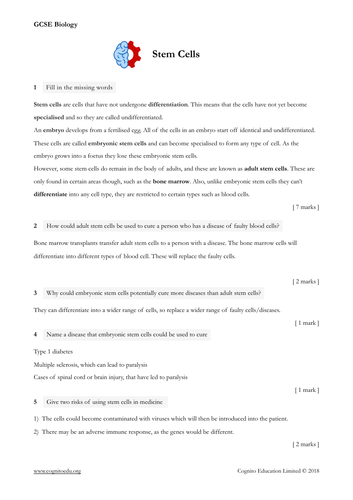 GCSE Biology (9-1) - Stem Cells - Worksheet & Video | Teaching Resources
