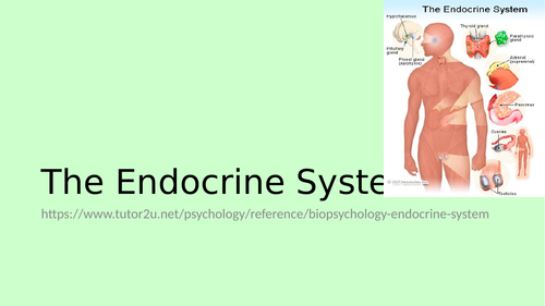 Biopsychology - The Endocrine System | Teaching Resources