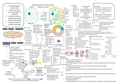 Aqa Gcse Biology 9 1 B1 Triple Science Revision Summary Sheets