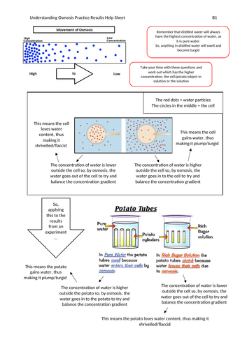 AQA GCSE Biology (9-1) B1 Triple Science Revision Summary Sheets | Teaching Resources