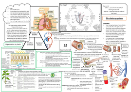 AQA GCSE Biology (9-1) B2 Double and Triple Science Revision Summary ...