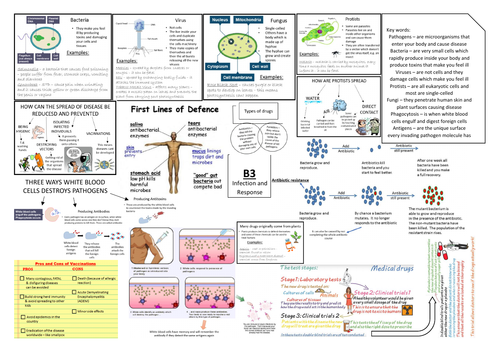 AQA GCSE Biology (9-1) Paper 1&2 Double Science Revision Summary Sheets ...