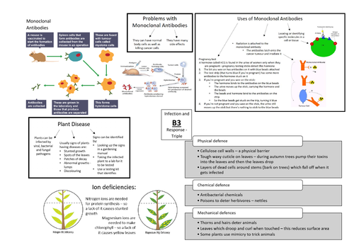 AQA GCSE Biology (9-1) B3 Triple Science Revision Summary Sheets | Teaching Resources