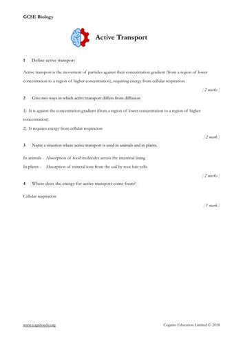 GCSE Biology (9-1) - Active Transport - Worksheet | Teaching Resources
