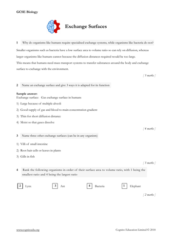 GCSE Biology (9-1) - Exchange Surfaces - Worksheet & video | Teaching ...