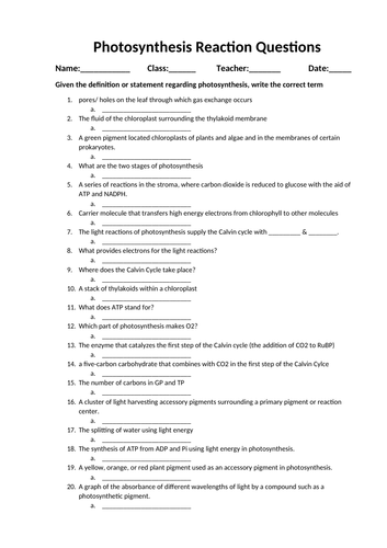 Photosynthesis Worksheet or Assessment | Teaching Resources