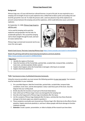 Psychology - Phineas Gage Research Task - Lobes of the Brain | Teaching ...