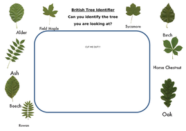 A viewer to aid children in KS1 to identify common British Trees ...