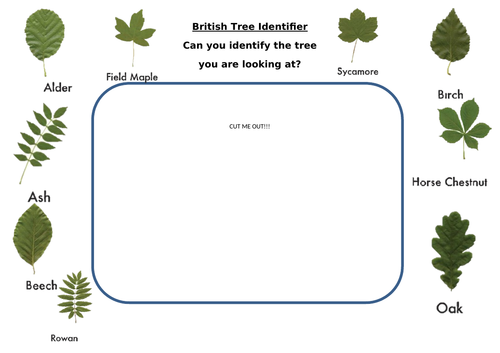 A viewer to aid children in KS1 to identify common British Trees ...