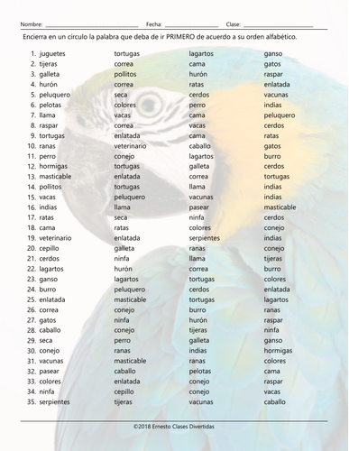 Pets and Pet Care Alphabetical Order II Spanish Worksheet | Teaching ...