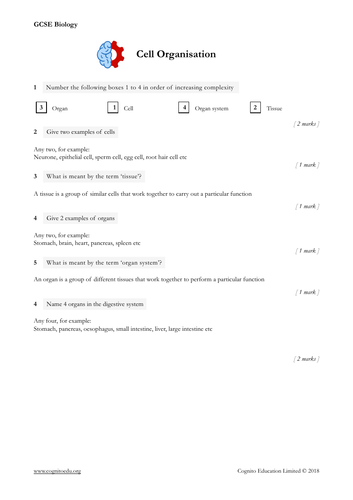 GCSE Biology (9-1) - Cell Organisation - Worksheet | Teaching Resources