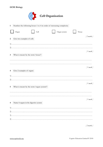 GCSE Biology (9-1) - Cell Organisation - Worksheet | Teaching Resources