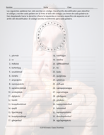 Adverbs Decoder Ring Spanish Worksheet | Teaching Resources