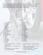 Past Perfect Continuous Tense Decoder Ring Spanish Worksheet | Teaching ...