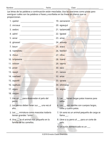 Pets and Pet Care Jumbled Words Spanish Worksheet | Teaching Resources