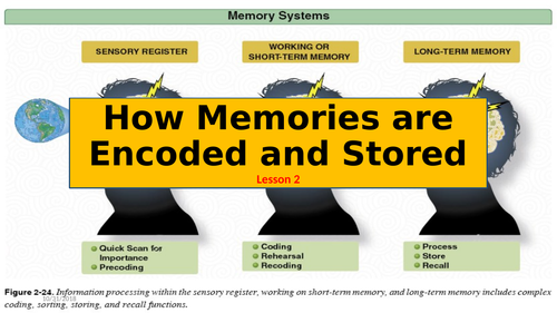 AQA GCSE Psychology 1-9 Memory COMPLETE except 'Factors Influencing ...