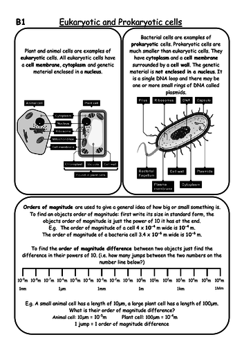 AQA GCSE Biology Paper 1 Revision Notes | Teaching Resources AQA GCSE Biology Paper 1 Revision Notes | Teaching Resources