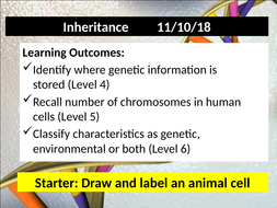 KS3 Inheritance PPT | Teaching Resources