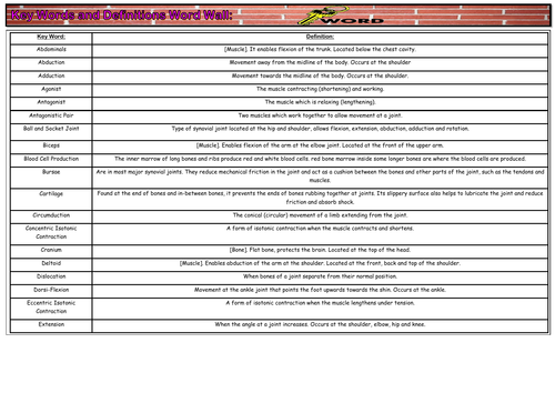 AQA 9-1 GCSE PE - Musculoskeletal System Key Words & Defintions ...