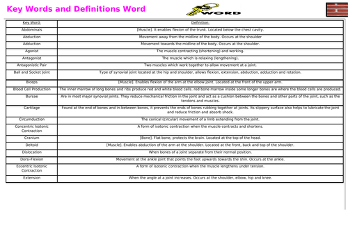 AQA 9-1 GCSE PE - Musculoskeletal System Key Words & Defintions ...
