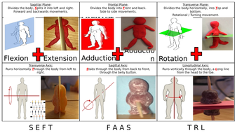 AQA 9-1 GCSE PE - Movement Analysis: Planes & Axes | Teaching Resources