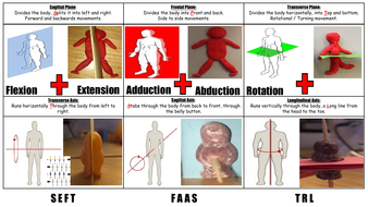 AQA 9-1 GCSE PE - Movement Analysis: Planes & Axes | Teaching Resources