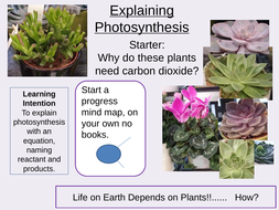Explaining Photosynthesis Outstanding Lesson AQA GCSE Biology New 9-1 ...
