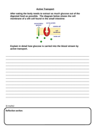 Diffusion, osmosis and active transport revision (GCSE 1-9) | Teaching ...