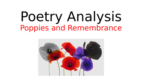 Remembrance Day- Poetry Analysis | Teaching Resources