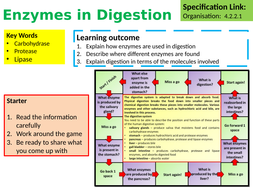 AQA GCSE Biology (Science) Enzymes in Digestion Lesson | Teaching Resources