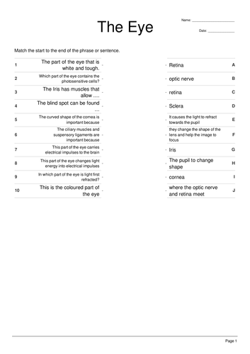 The Eye Starter or Plenary - Matching Activity with answer key ...