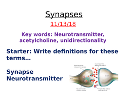 Synapse lessons- AQA Biology A level | Teaching Resources