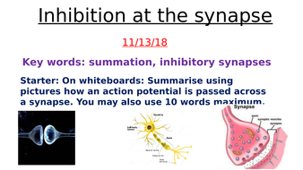 Synapse lessons- AQA Biology A level | Teaching Resources