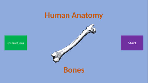 Human Anatomy Quiz: Bones | Teaching Resources