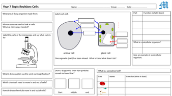 Year 7 Activate B1 Topic Revision Grid: Cells | Teaching Resources