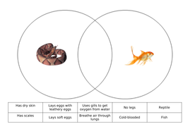 Living things - Classification (grouping of animals / vertebrates) for ...