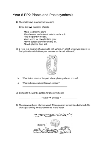 KS3 Unit 8D Biology - Cells (8a Cells 8b Yeast 8d Photosynthesis and ...